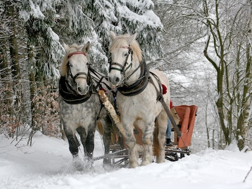 Best Holiday Sleigh Rides in the USA